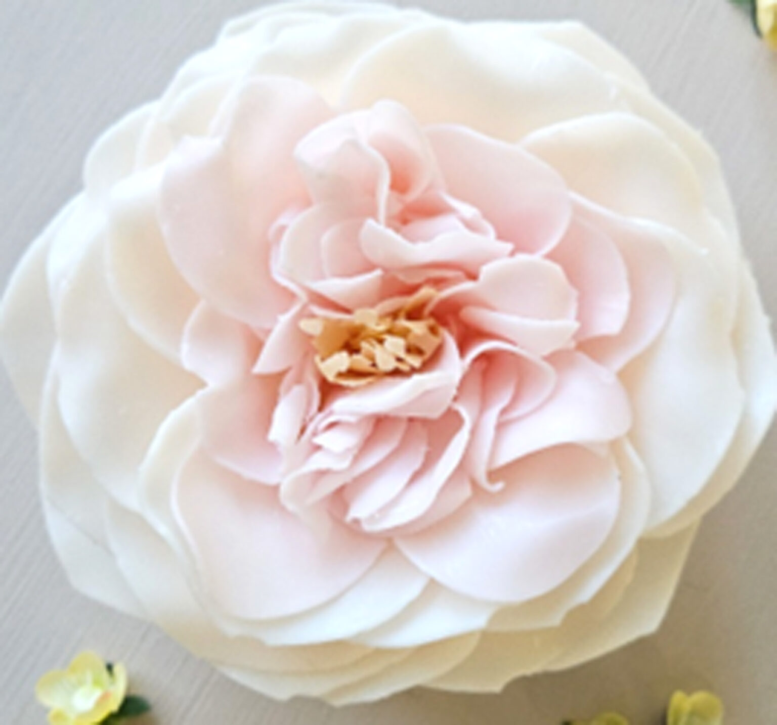 Addie – A'marie Flowers